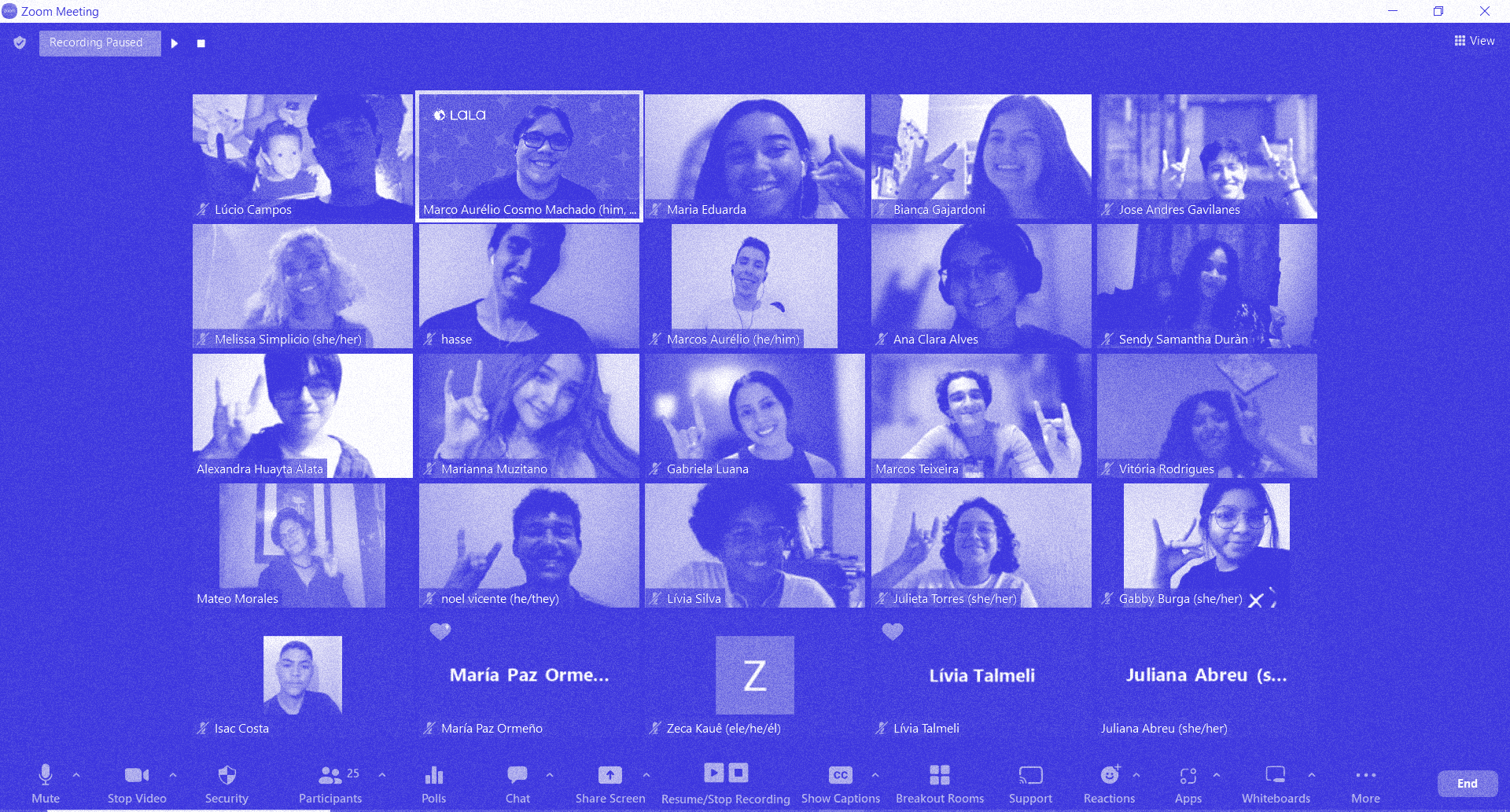 University Placement - LALA